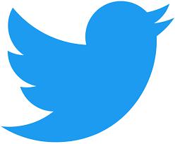 Lilly puts brakes on Twitter 16.11.2022 AM